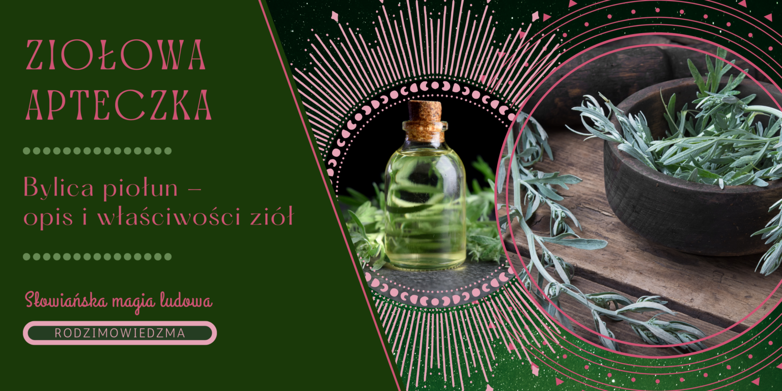 Bylica piołun – ziołowa apteczka Szeptuchy • Słowiańska magia ludowa ...